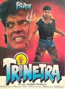 Trinetra 1991 Movie Box Office Collection, Budget and Unknown Facts ...